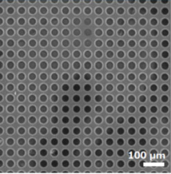 TGV 微細電極技術 - EBINAX株式会社