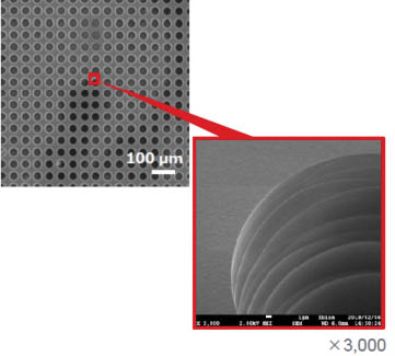 TGV 微細電極技術 - EBINAX株式会社